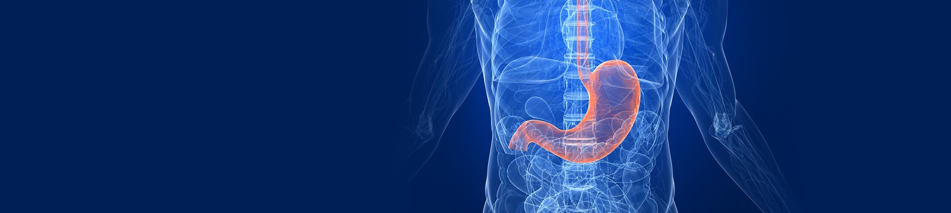 Gastritis » Raffles Internal Medicine Centre, Singapore