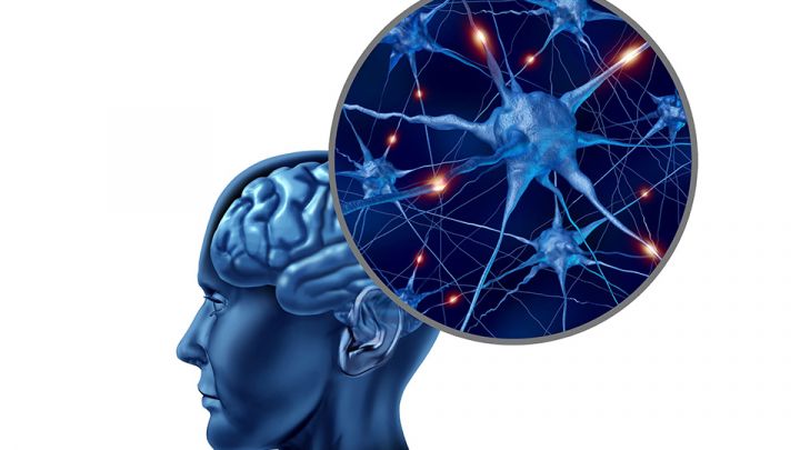 Brain Works » Raffles Neuroscience Centre, Singapore