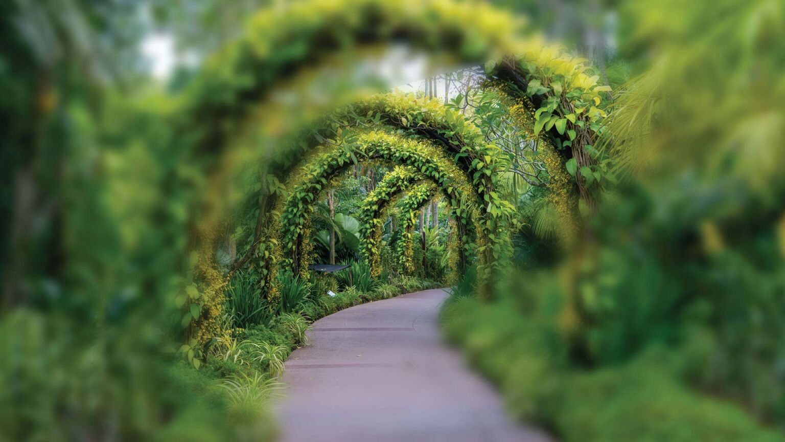 Glaucoma - Screening Package » Raffles Eye Centre, Singapore