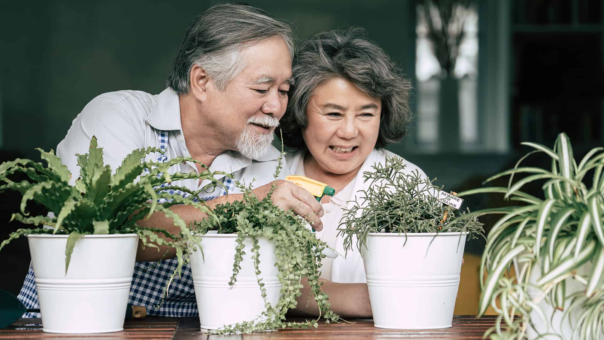 The Keys to Ageing Healthily » Raffles Medical Group