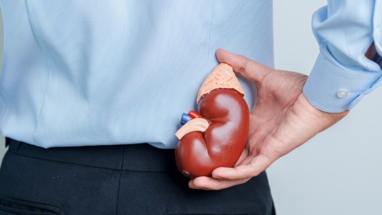 Kidney Stones: What You Need to Know » Raffles Medical Group